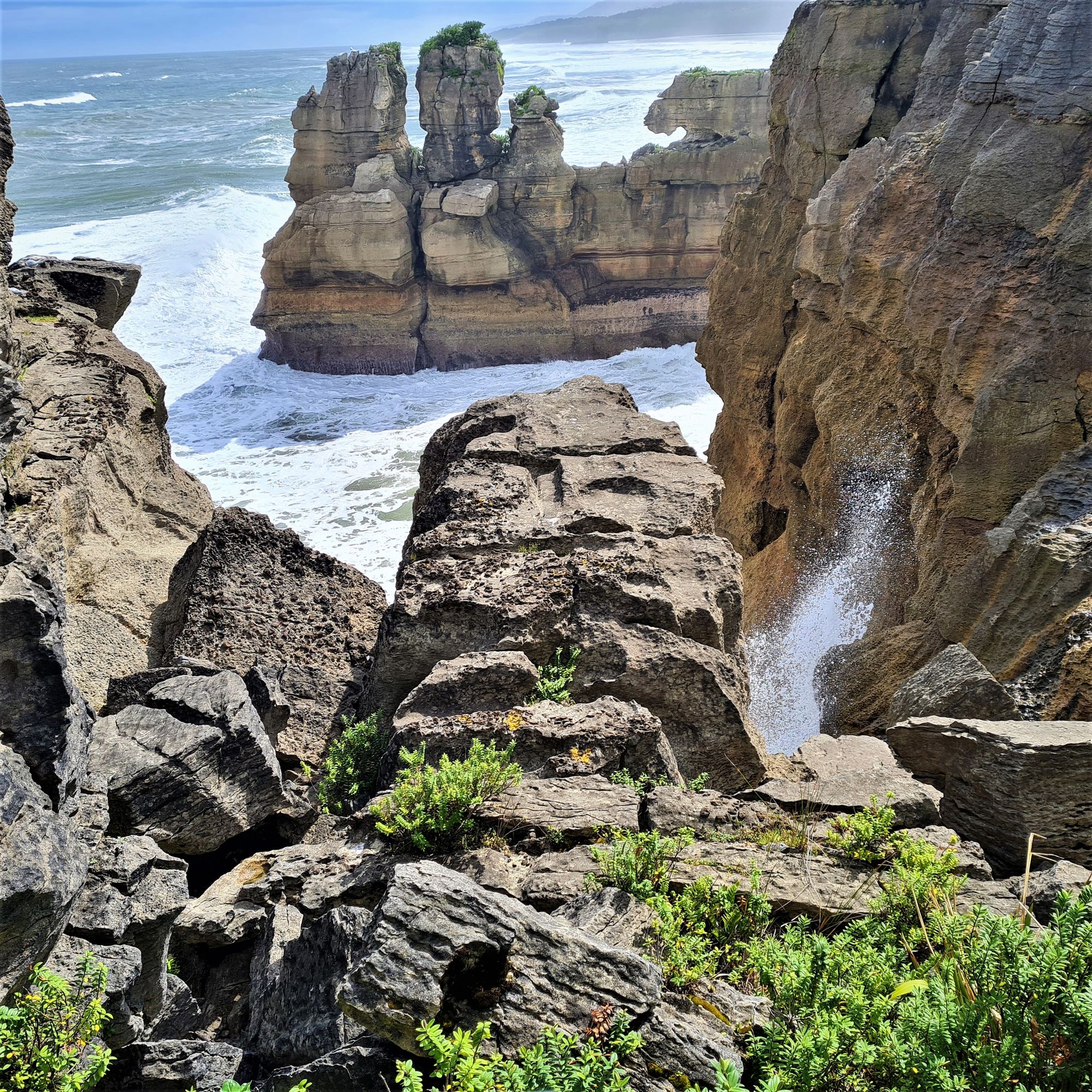 About - West Coast Scenic Taste Tour