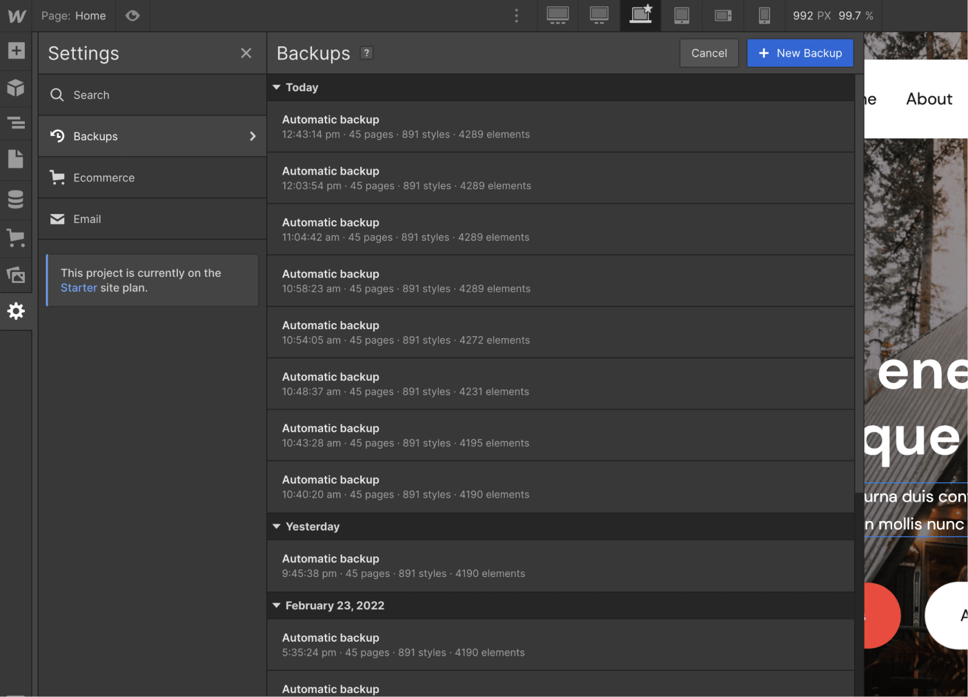 Start Here - Rental X - Webflow Ecommerce website template