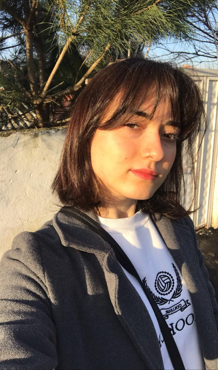 Computer Vision Applications In Transportation