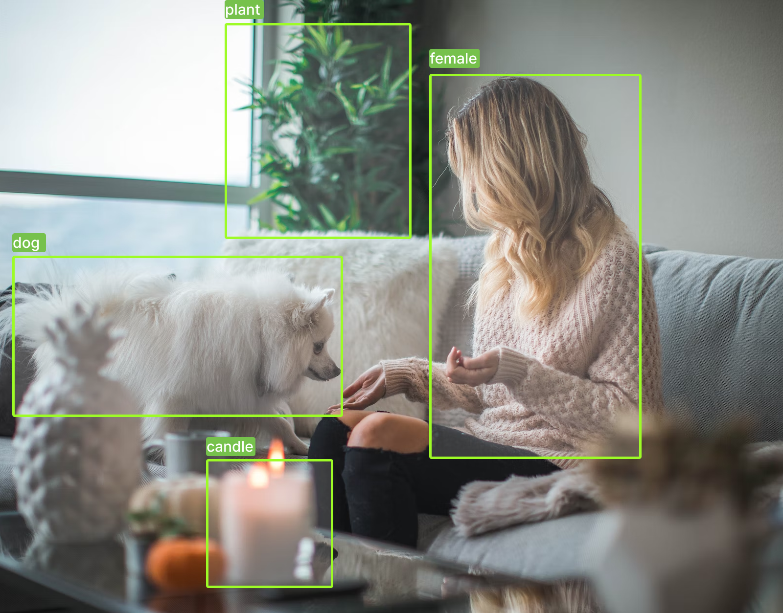 Image Tagging: What Is It & How It Works