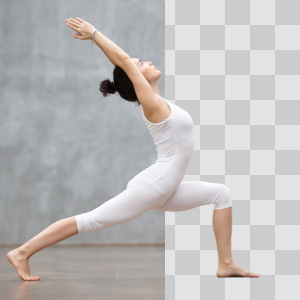 BSHM Portrait Matting