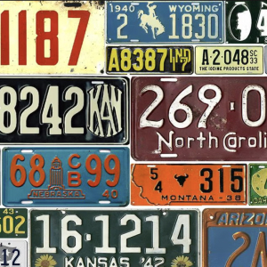 License Plate Reader