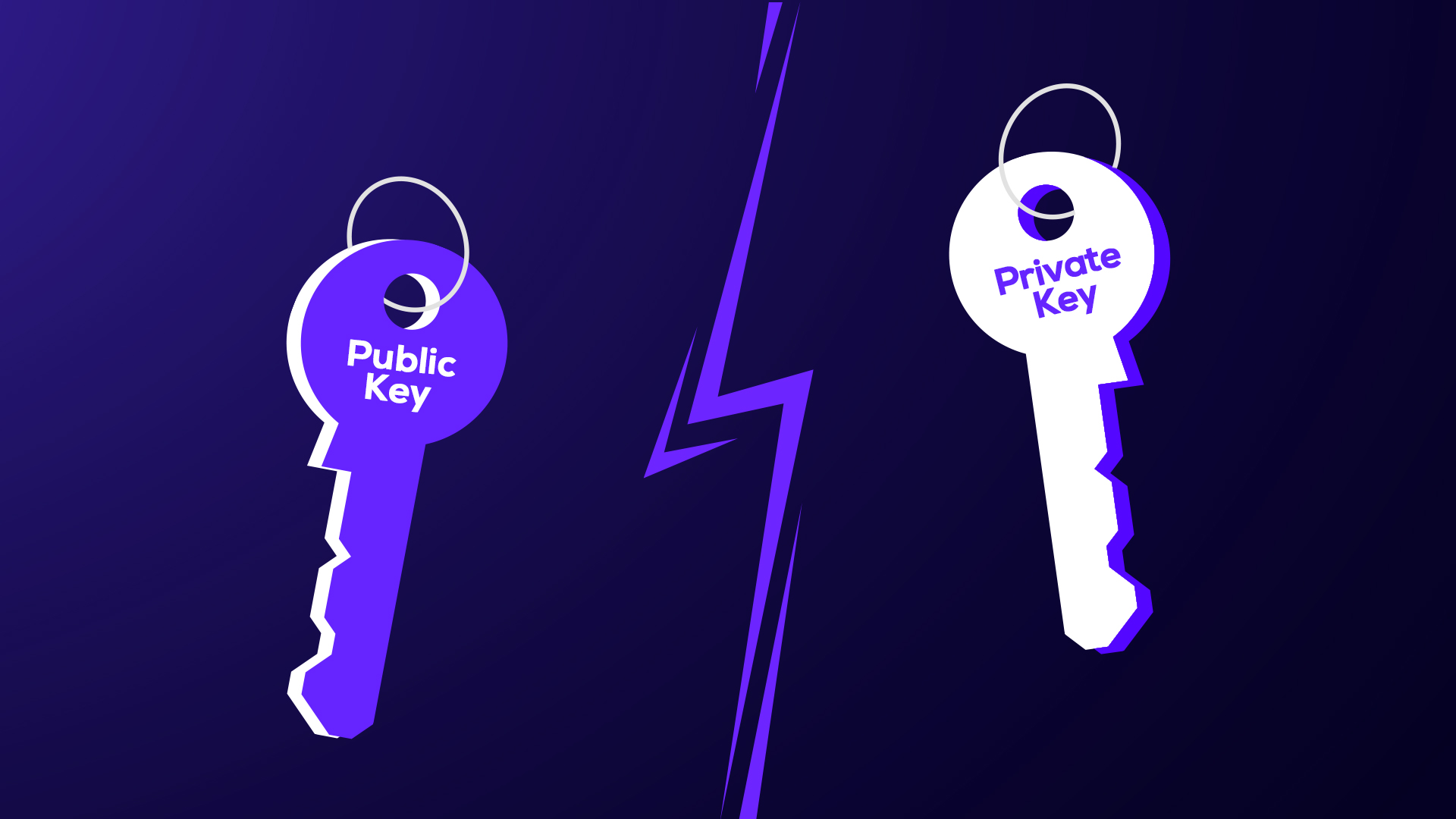 Types of Crypto Wallets and the Benefits of the Xverse Bitcoin Wallet