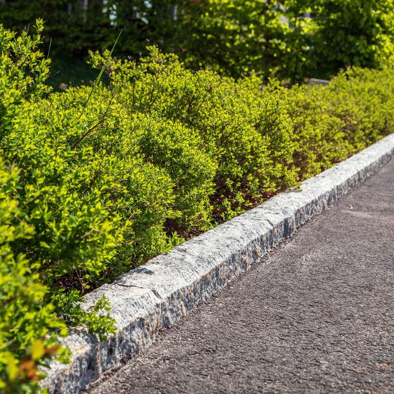 Beer Sten - Beer Kantstein Standard Grå
