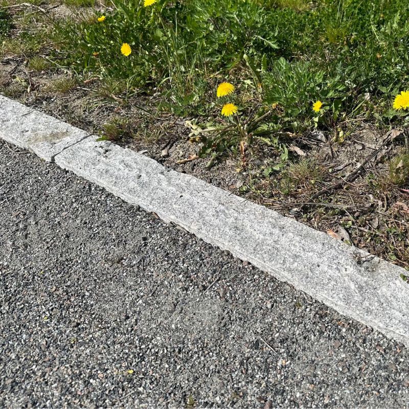 Beer Sten - Beer Kantstein Standard Grå