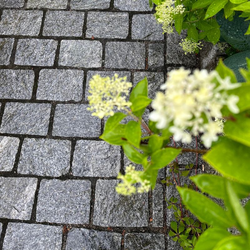 Beer Sten - Beer Spesial Storgatestein