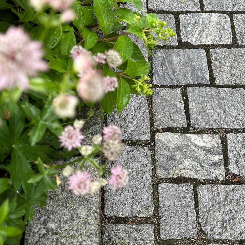 Beer Sten - Beer Spesial Storgatestein