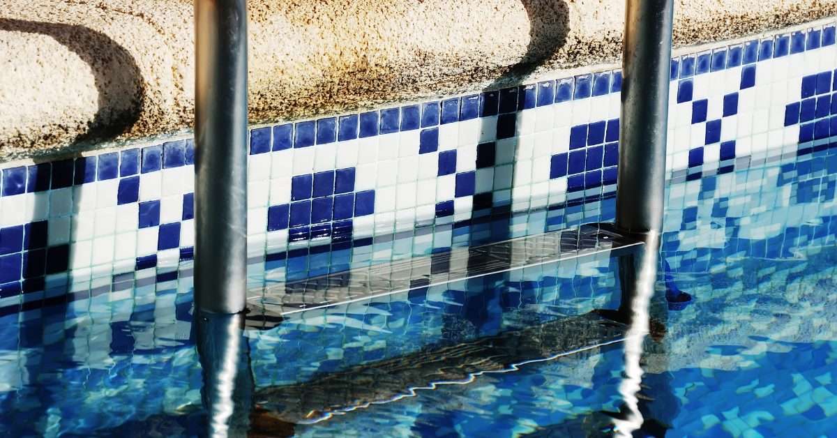 Pests Paddling in Your Pool?