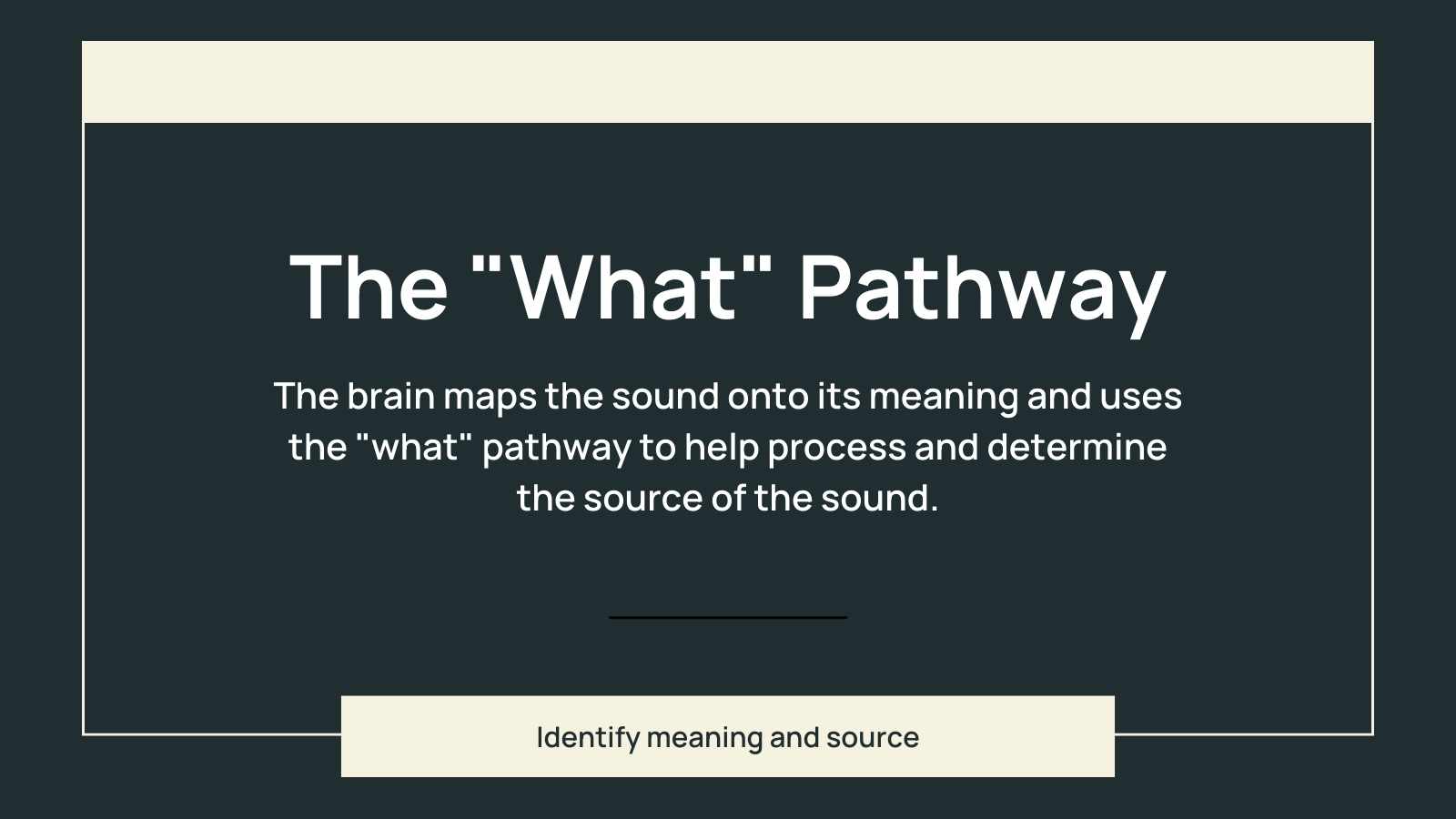 What Part of Your Brain Controls Your Hearing?