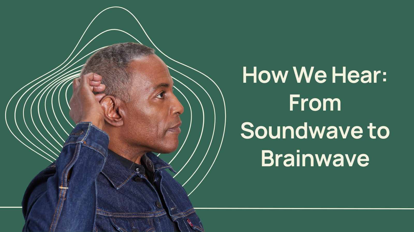 How We Hear: From Soundwave to Brainwave