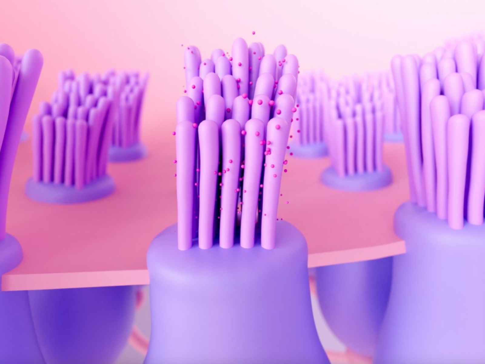 What Can Humans Hear? Exploring the World of Auditory Perception