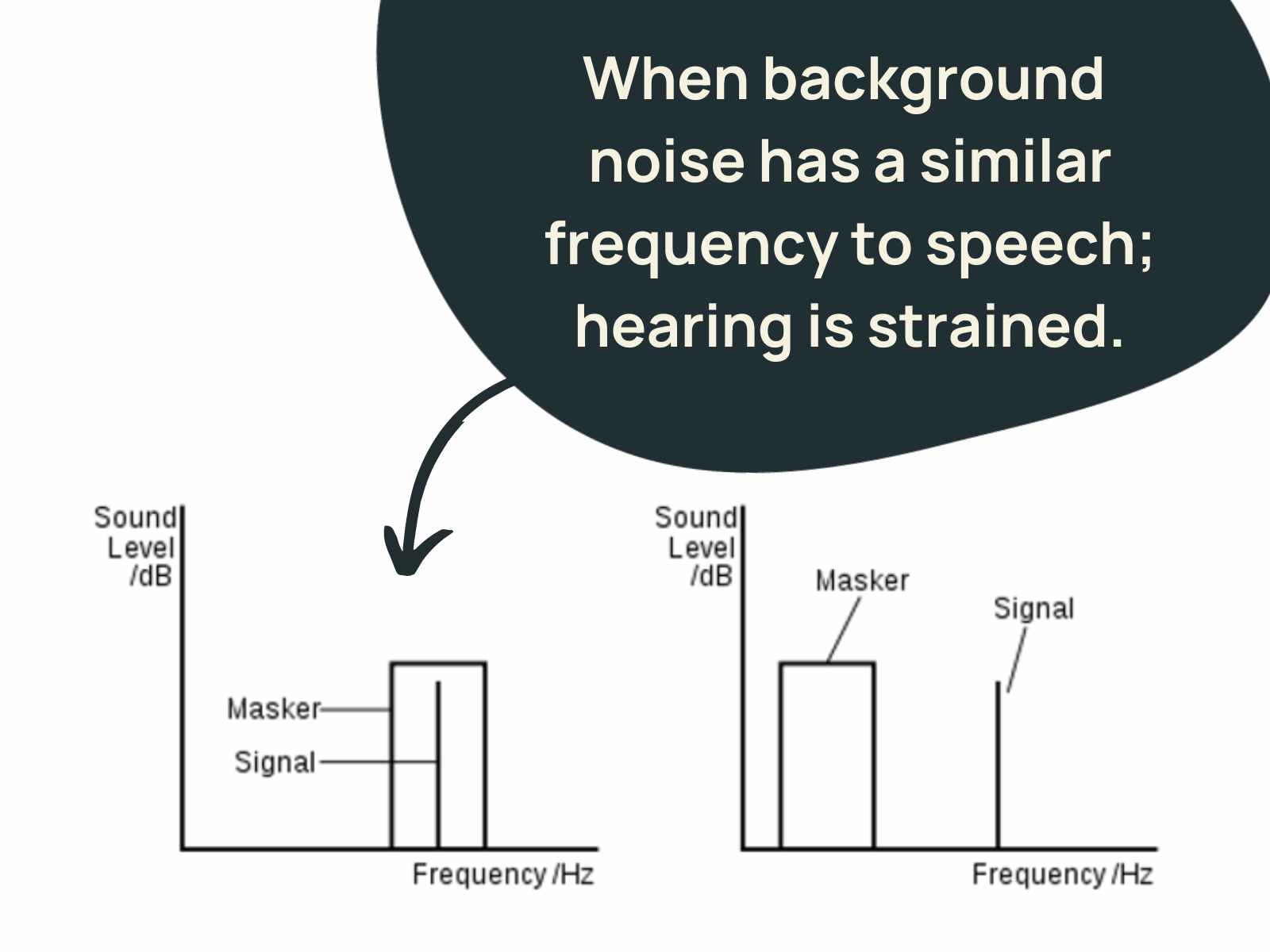 What Can Humans Hear? Exploring the World of Auditory Perception