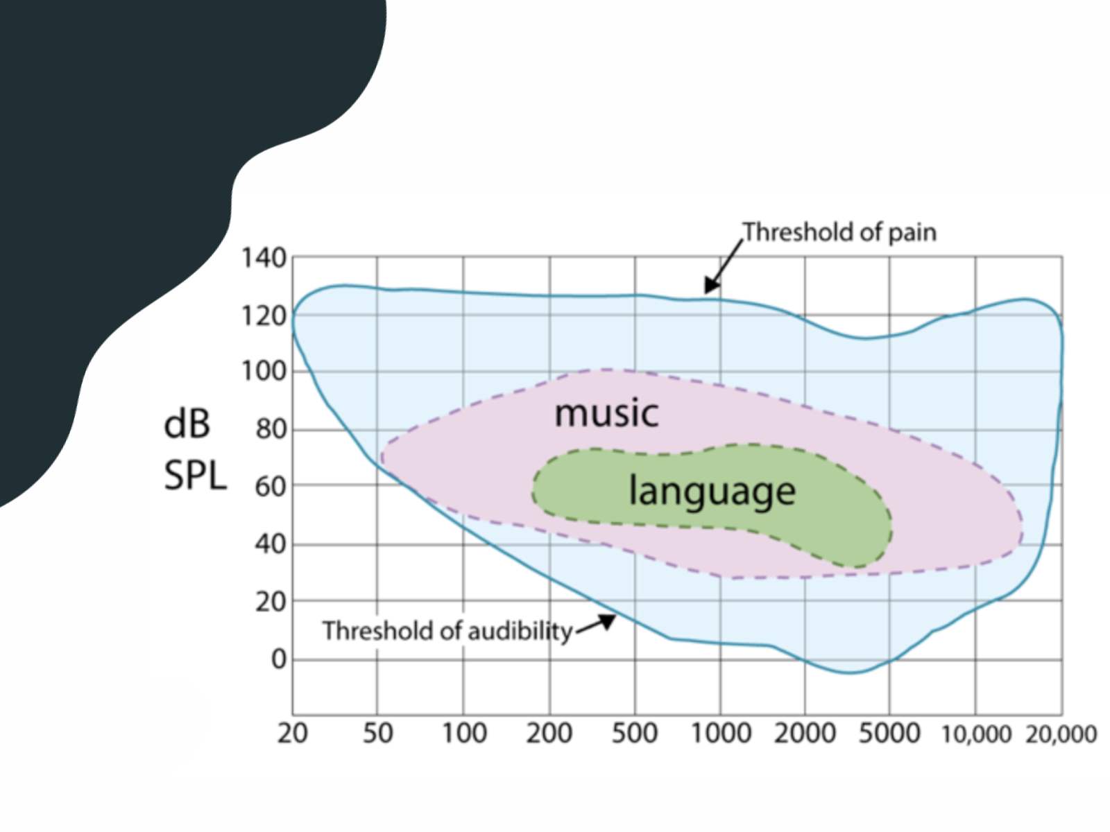Best Hearing Aids for Music (Plus Listening Optimization Tips)