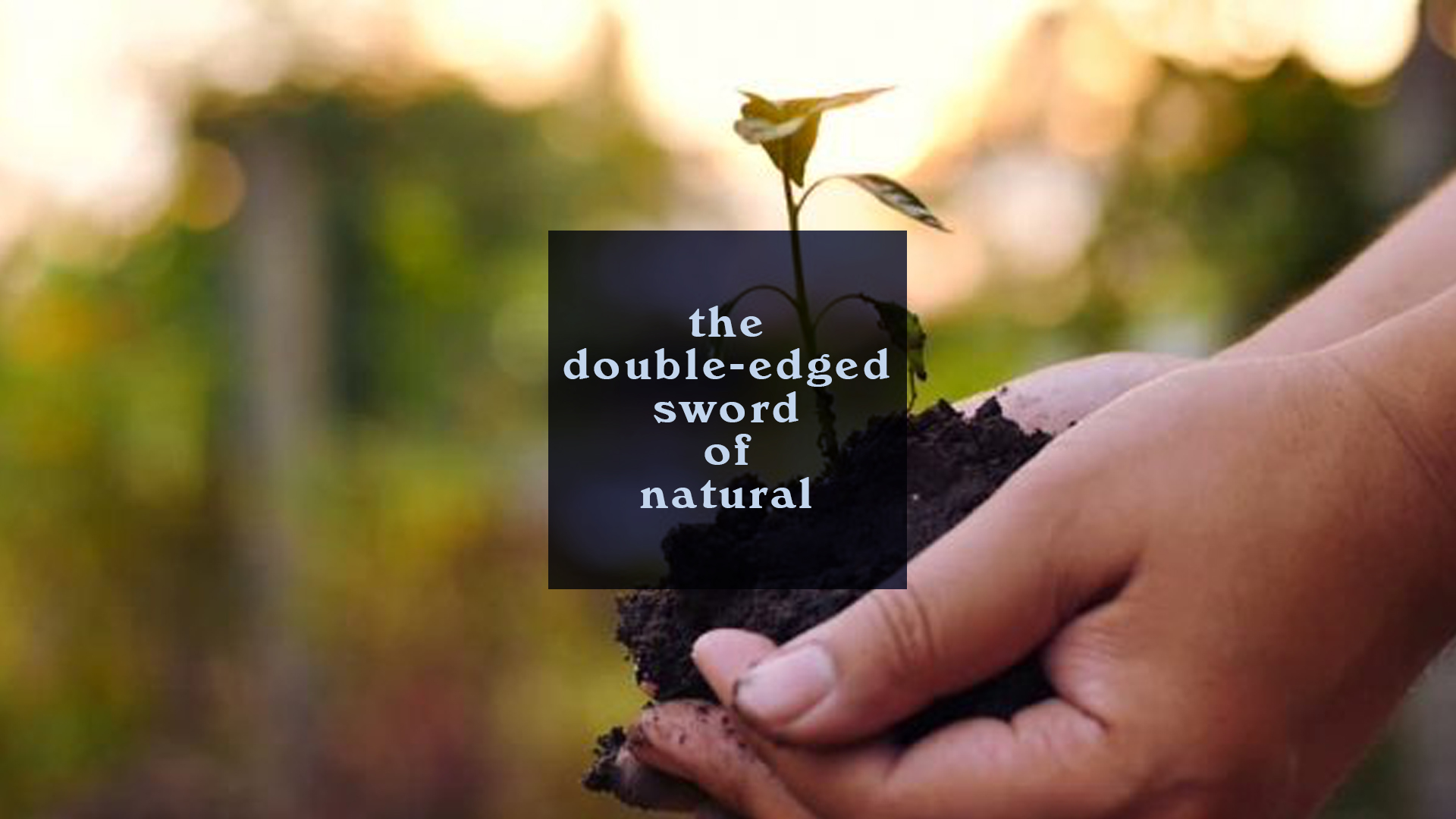 Challenges for Natural Food Brands