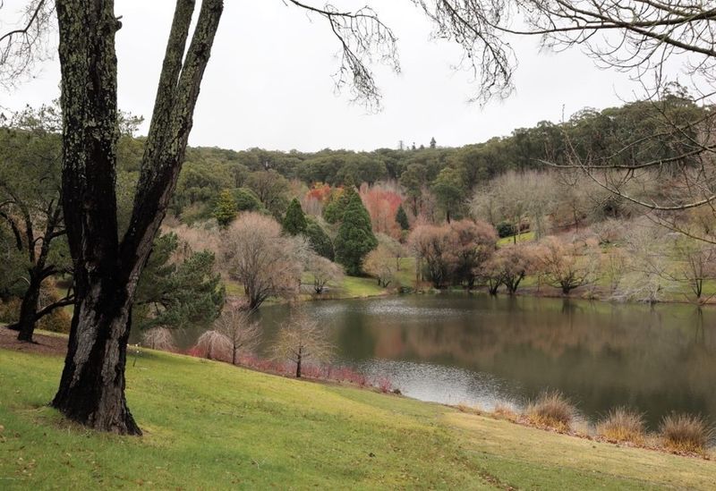 Adelaide National Park City