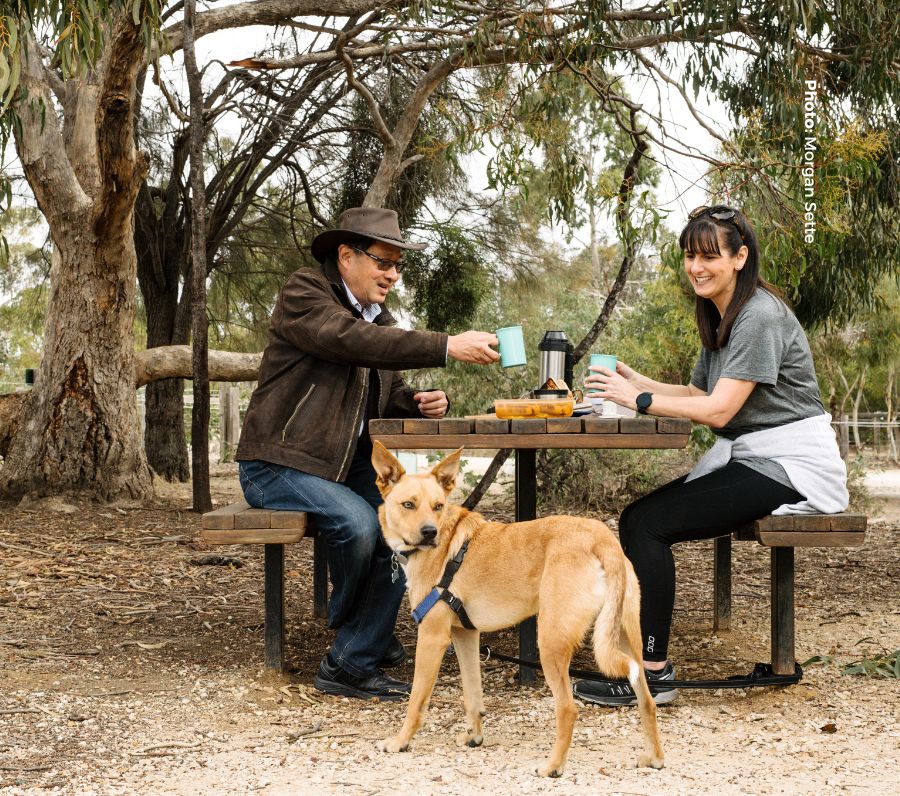Adelaide National Park City: Que Visiter À Adelaide – NRTC
