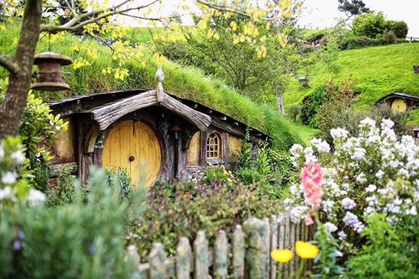 Returning the Ring Chapter 1: Hobbits & the Shire