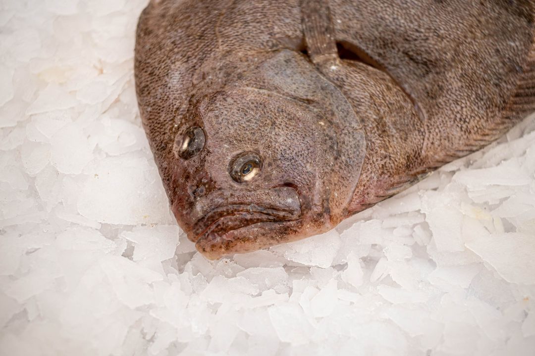 Griet | NorthSeaChefs