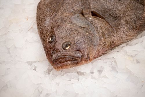 Griet | NorthSeaChefs