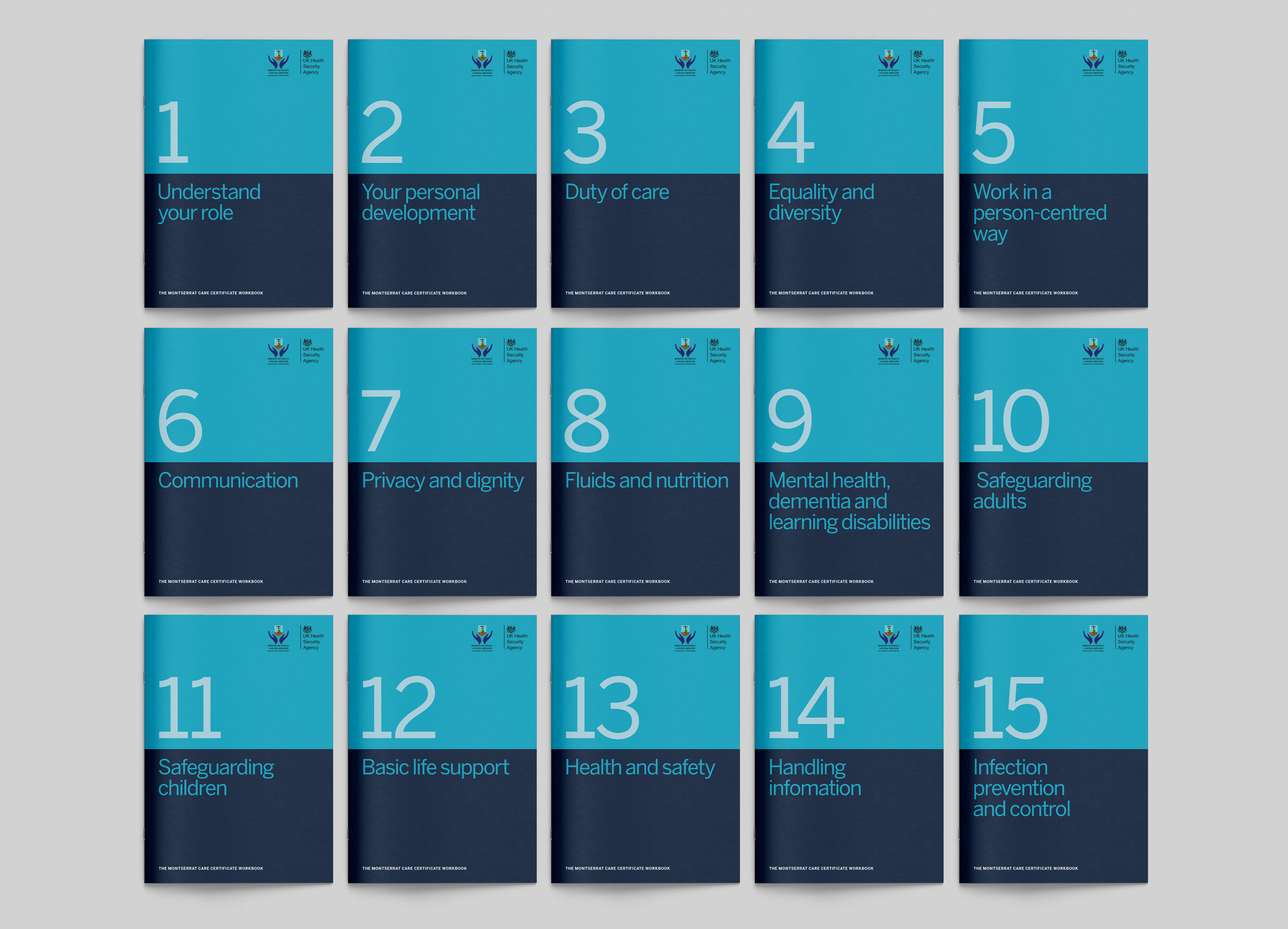 Design Science - Montserrat public health care workbooks for UKHSA