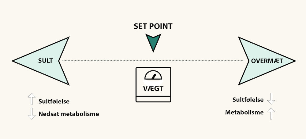 Set point-teorien - kan du ændre din grundvægt?