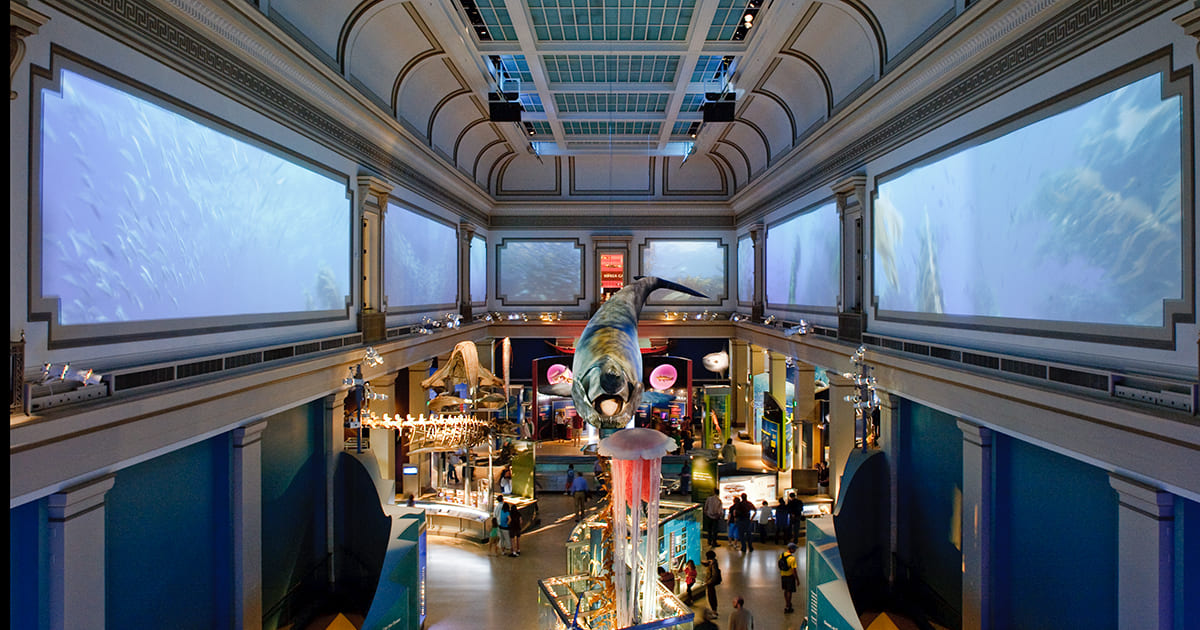 Sant Ocean Hall - Washington, DC - Cultural & Heritage Design