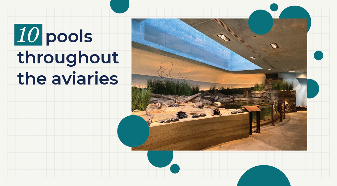 The Bird House by the Numbers