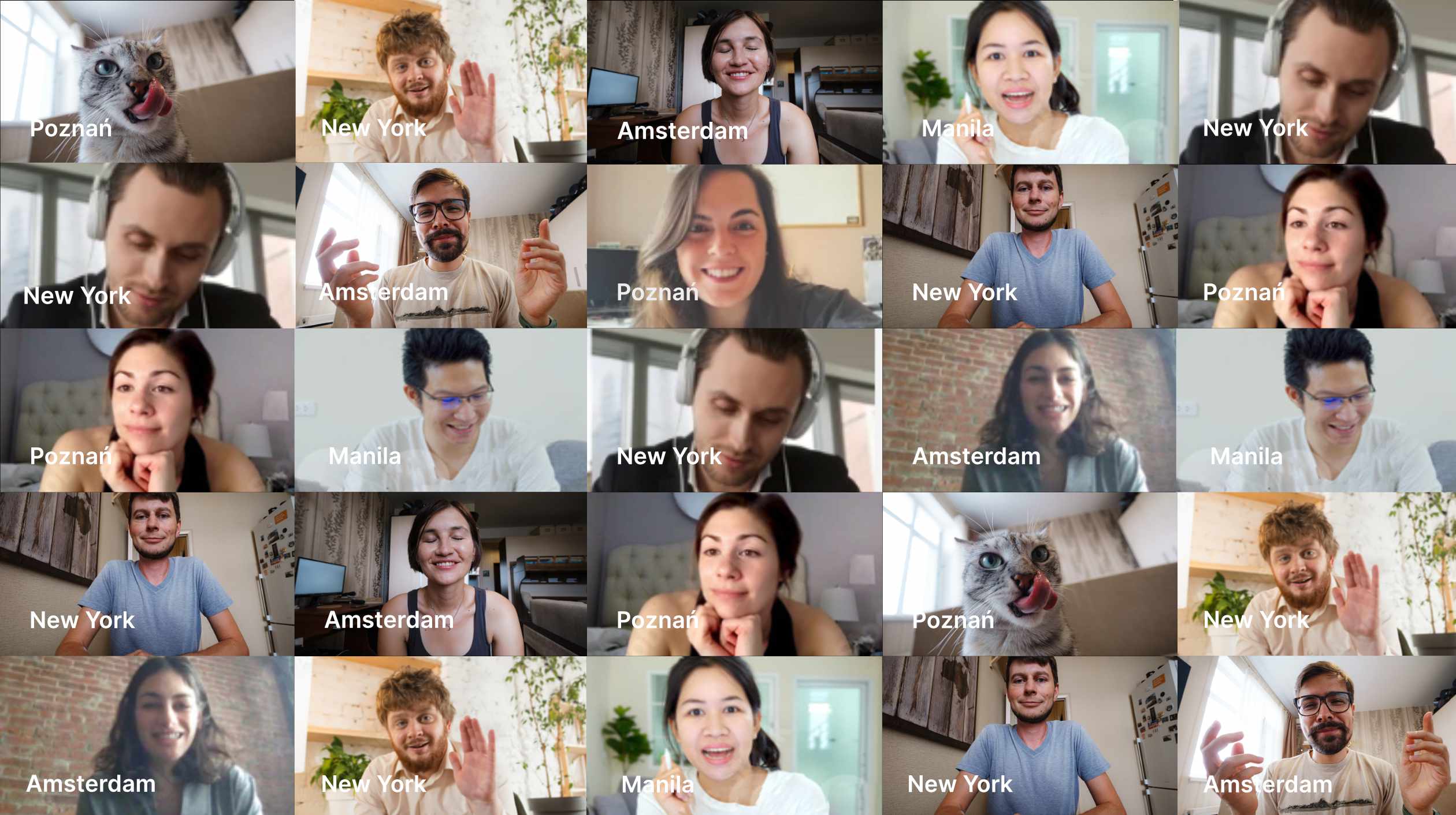 Job openings at Cleeng