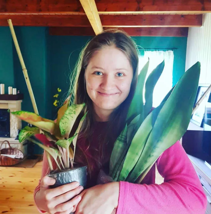 Job openings at Cleeng