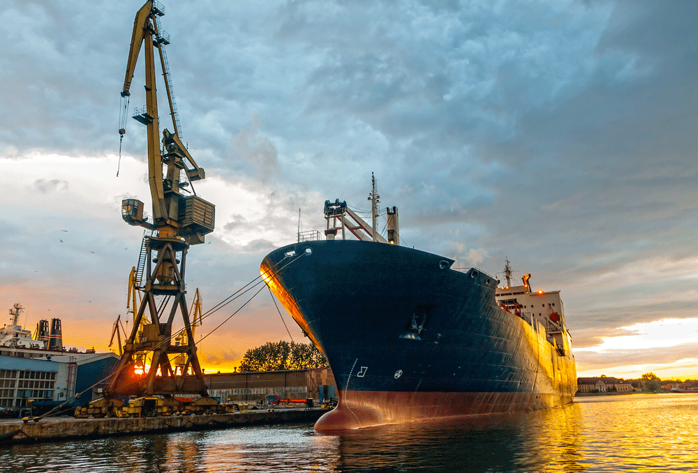 Shipnet ONE by Shipnet