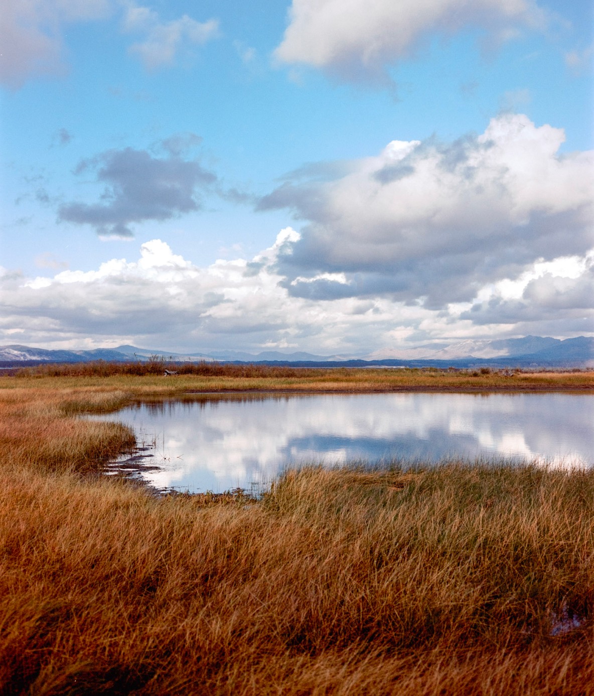 About Walking Softer