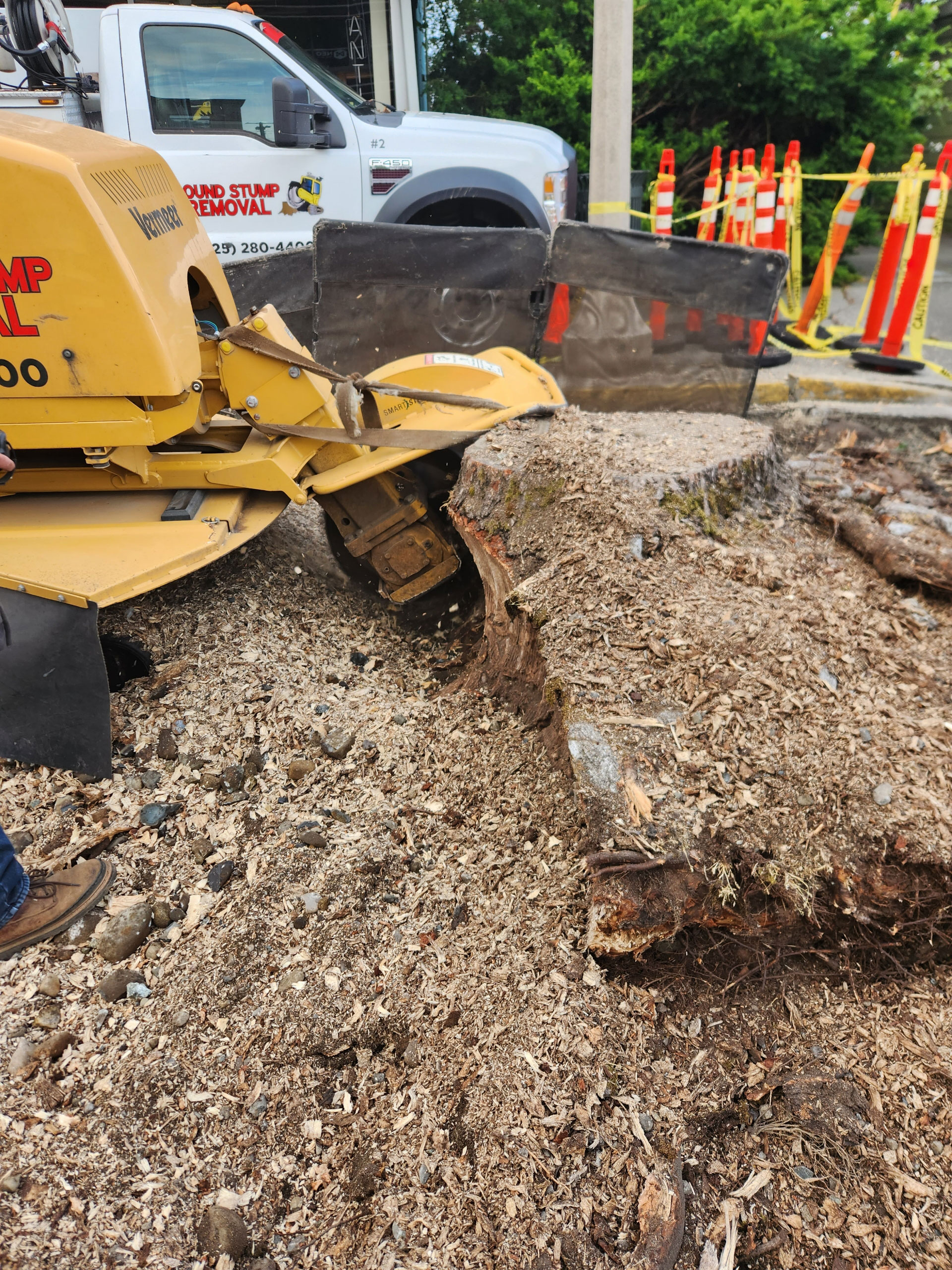 Sound Stump Removal | Stump Grinding & Brush Clearing - Snohomish, WA