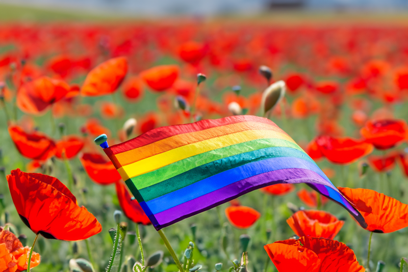 The Crucial Role of California Nonprofits in LGBTQIA+ Communities: A ...