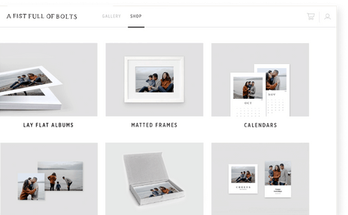 Pic-Time: The Ultimate Workspace for Family Photographers