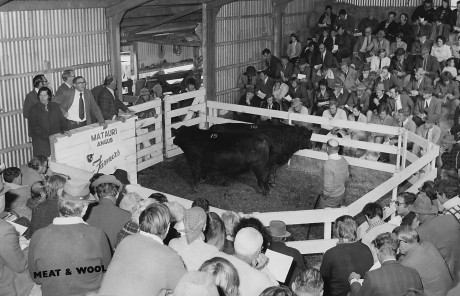 History | Hard Hill Country Genetics
