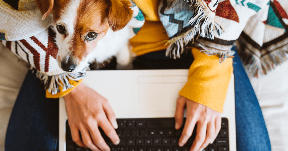 7 passive income strategies entrepreneurs can use to increase cash flow