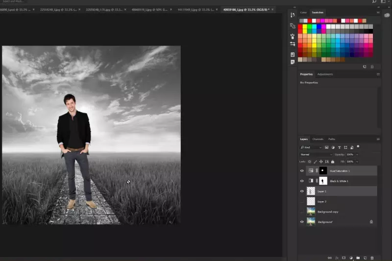 Inpaint Alternatives that Will up your Photo Editing Game