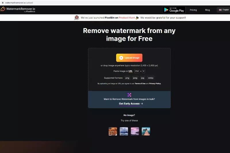 What are the disadvantages of watermarks on photographs?