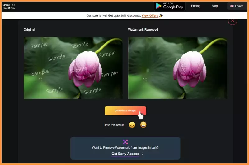 How to Remove Watermark from Getty Images