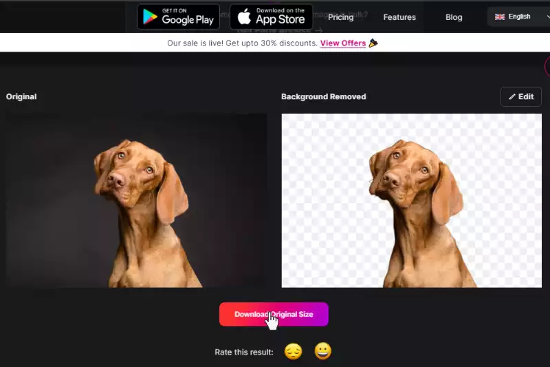 How to Optimize Image Online Using a Background Remover, Upscaler ...