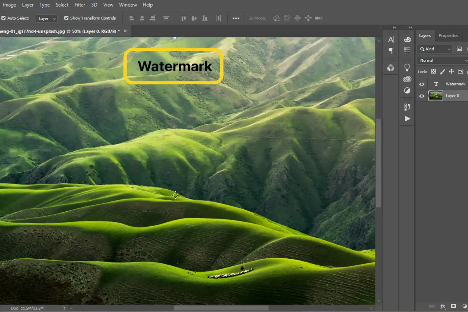 Detect an Invisible Watermark