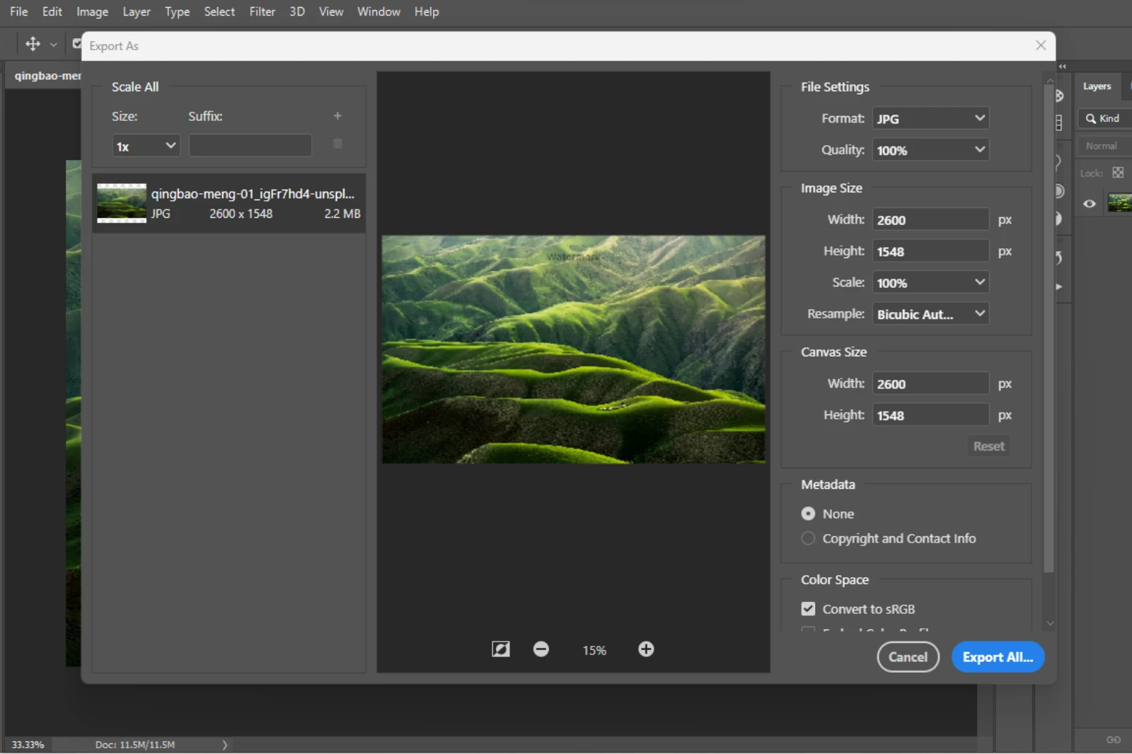 Detect an Invisible Watermark