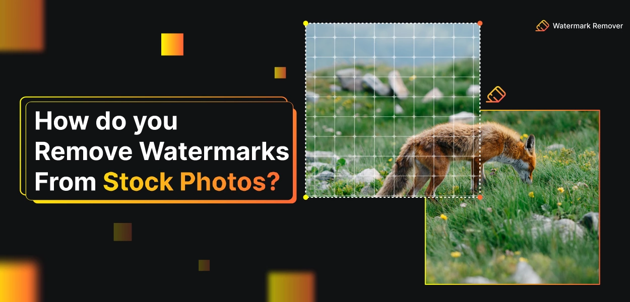 Remove Watermarks from Photos for Free from Stock Photo
