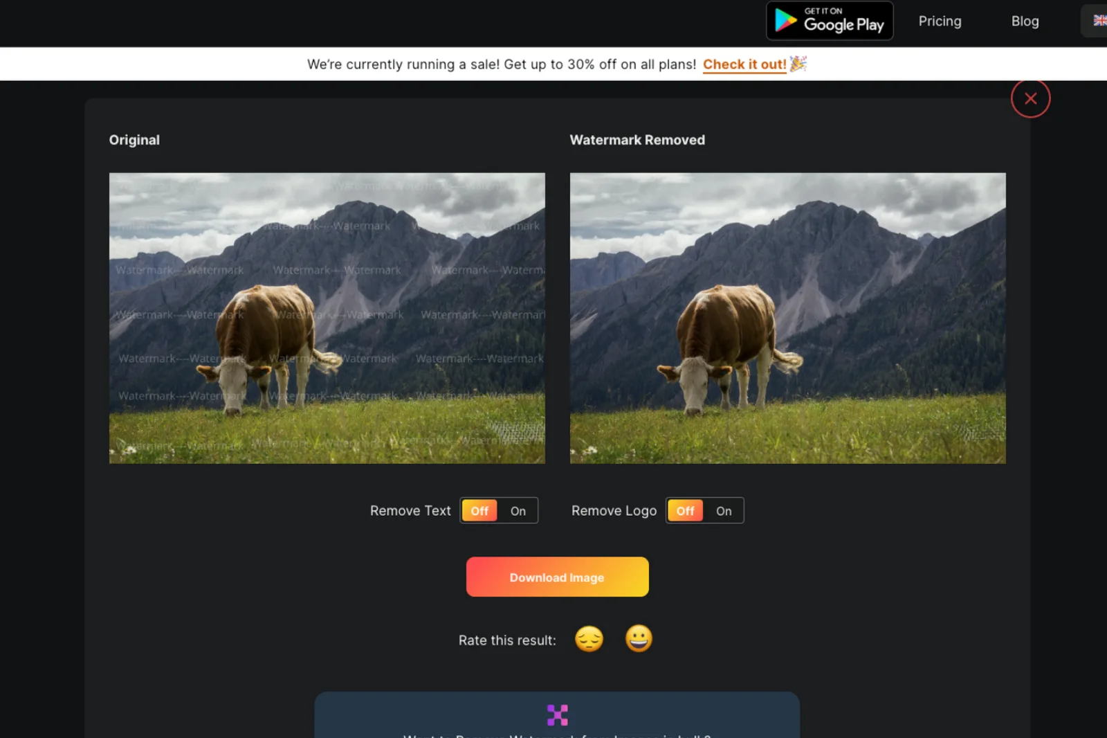 Remove a Watermark from a Photo with an Online Tool