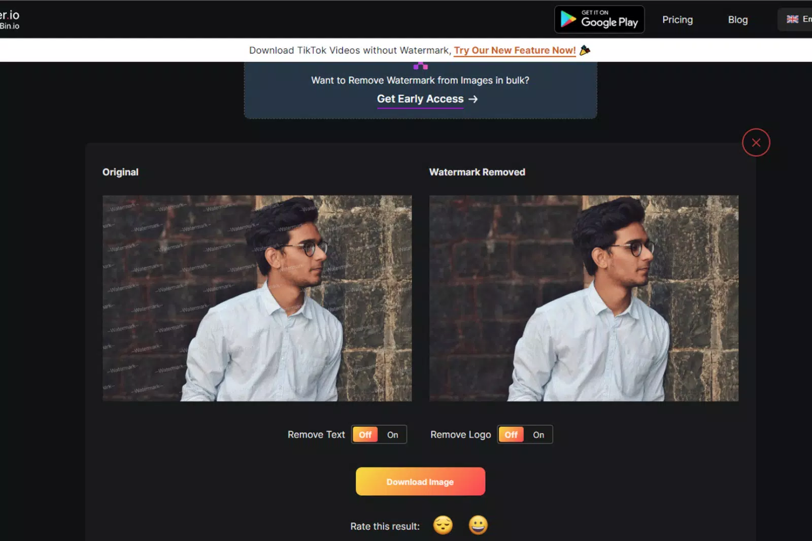 How to Remove Watermark from Free Images?