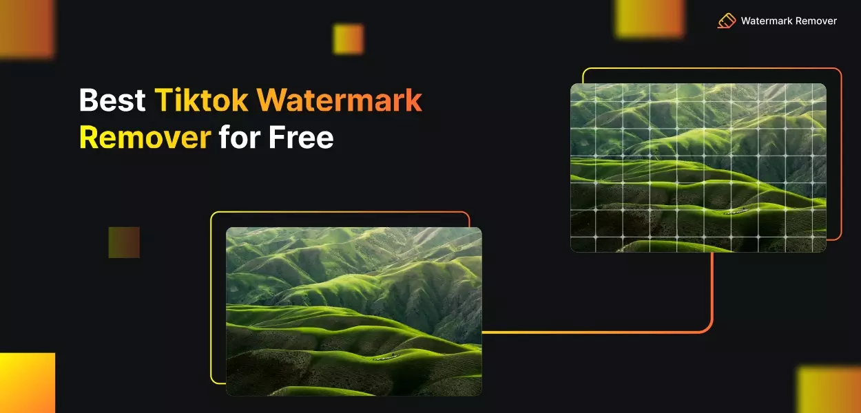 Best 11 Alternative of TikTok Watermark Remover for Free