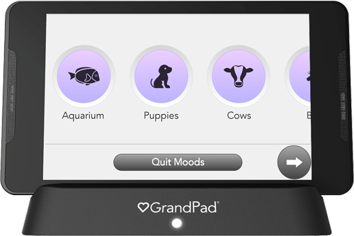 GrandPad Moods