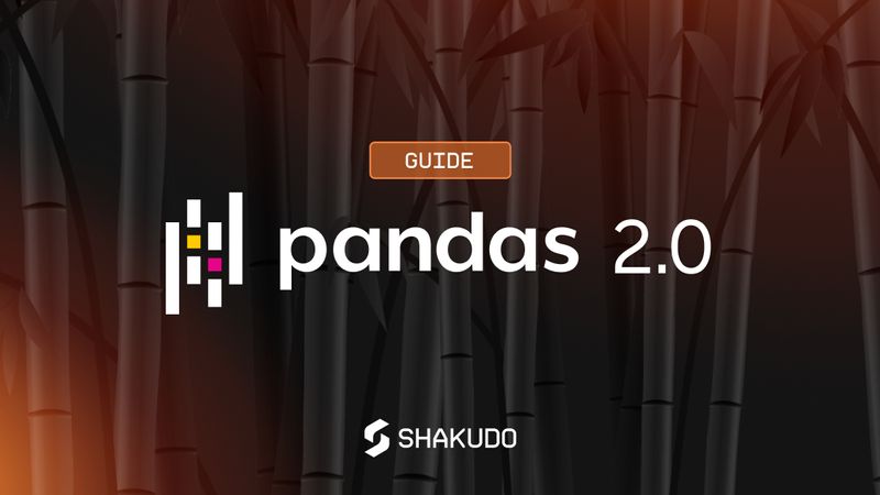Pandas 2.0 Guide: Everything You Need to Know for Seamless Upgrading and Adaptation | Shakudo