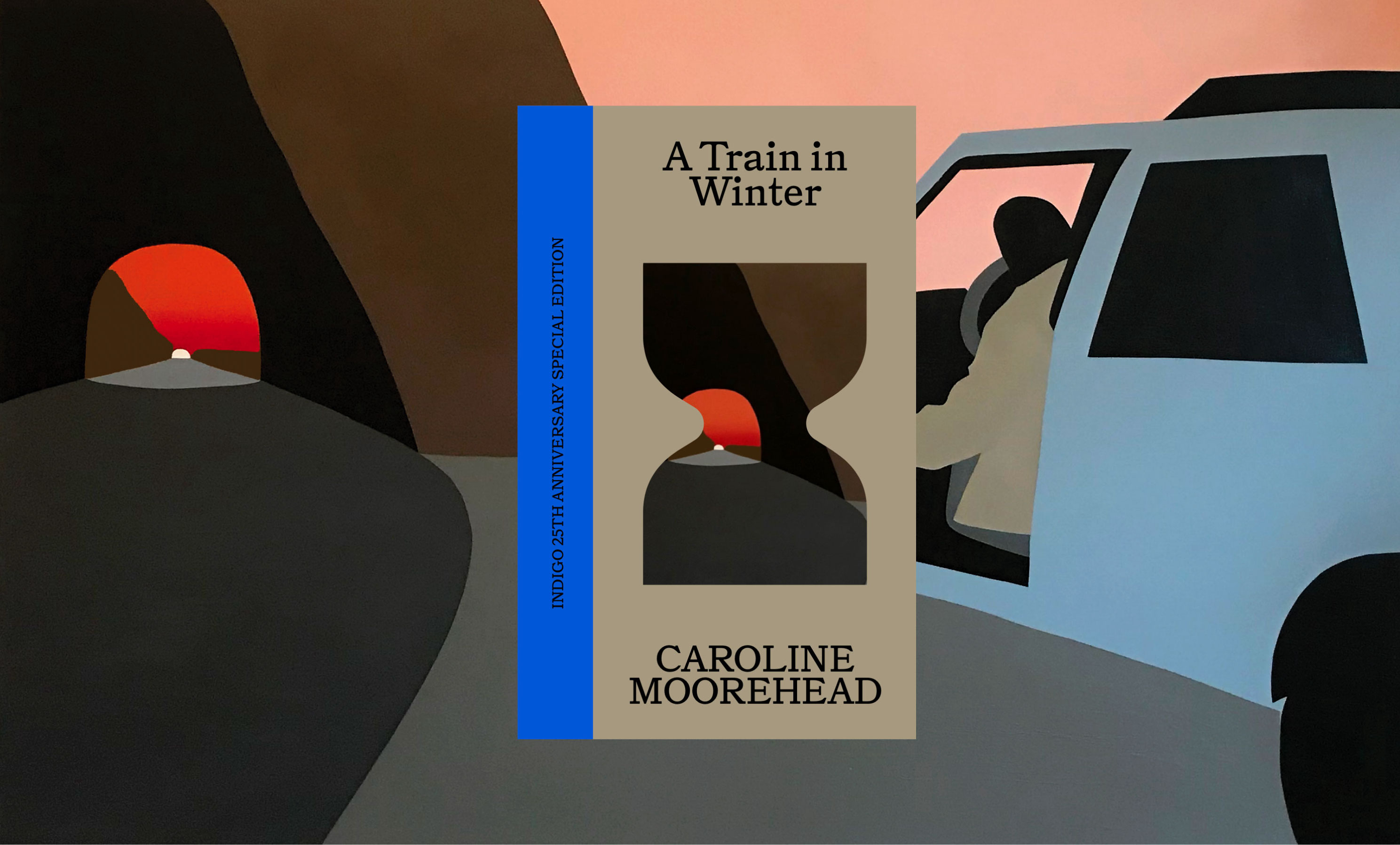 Indigo “25 Books” — Wedge