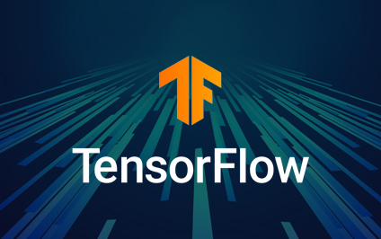Hire Dedicated Tensorflow Professionals | Webspiders India Pvt.Ltd